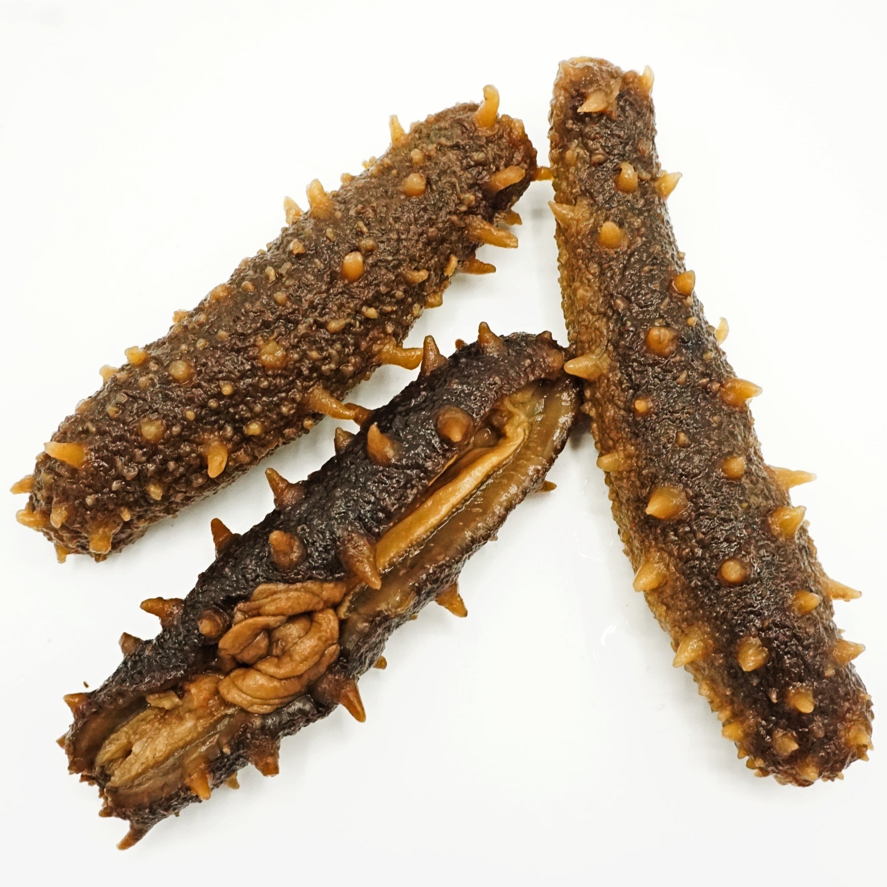 Rain Nest Alaska red sea cucumber – RainNest